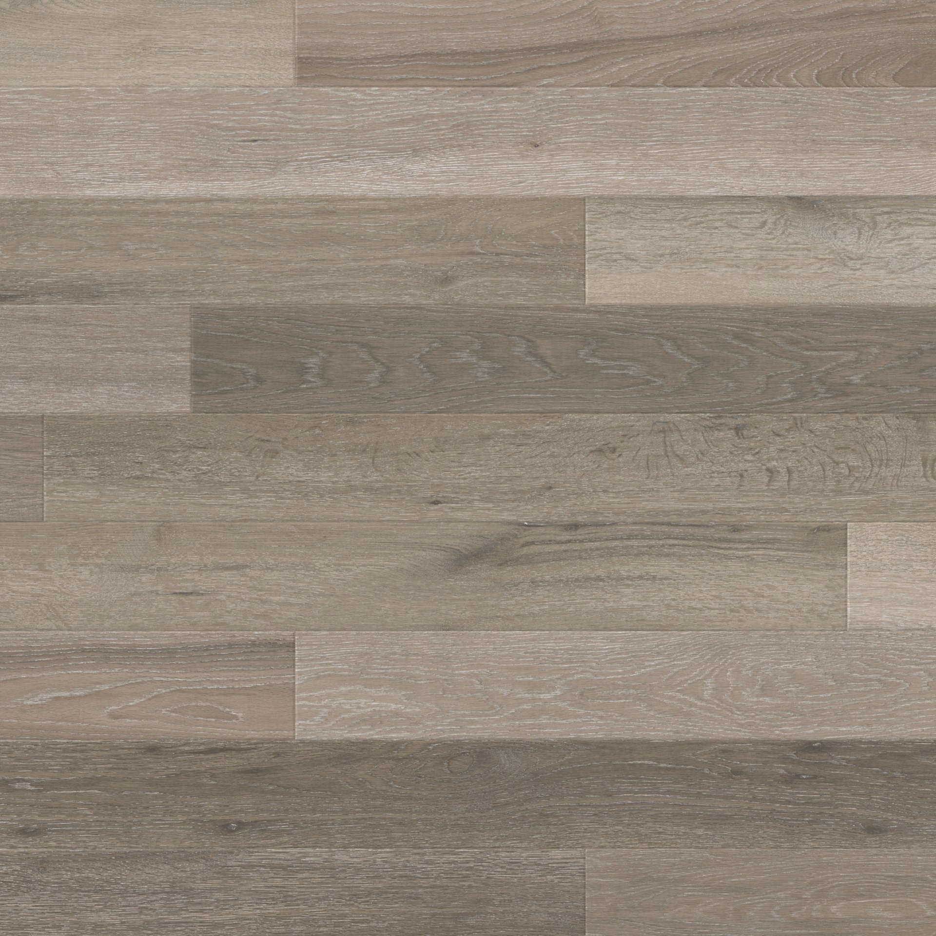 Art Select | Castle Hill Ash AKP-RL39