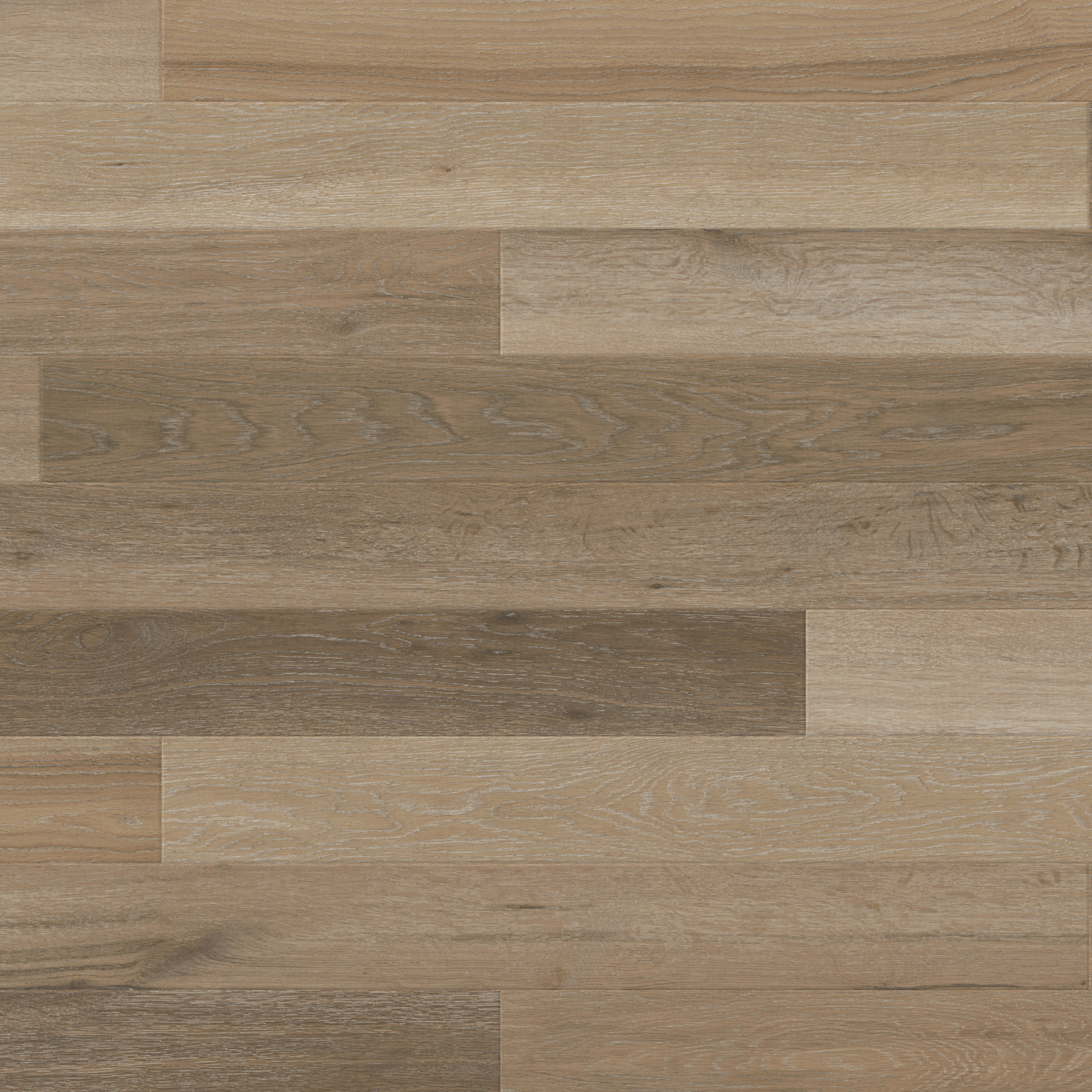 Art Select | Tolsford Ash RL42